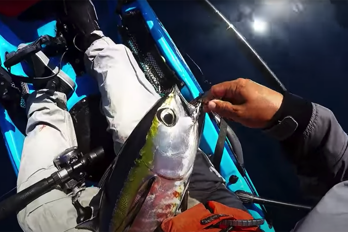 How To Vertical Jig – Lures n' Line